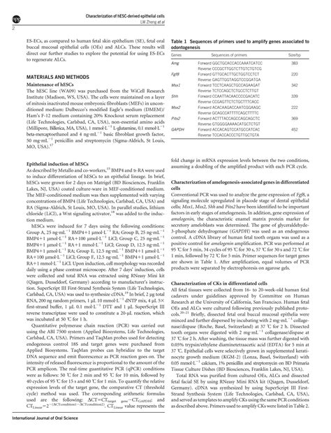 Solution The Similarity Between Human Embryonic Stem Cell Derived