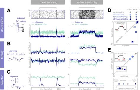 Adaptive Coding For Dynamic Sensory Inference Elife