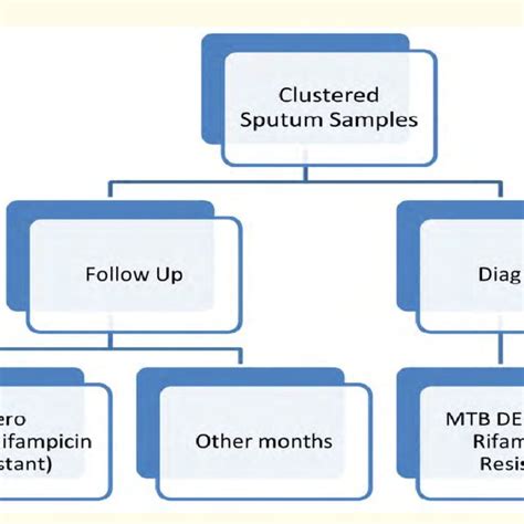 Flow Chart Of Sampling Technique Download Scientific Diagram