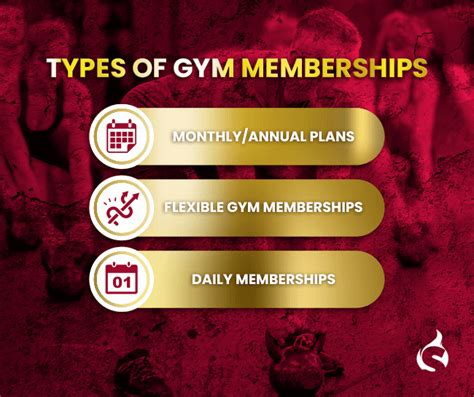 Should Your Gym Offer Daily Memberships Spark Membership The 1