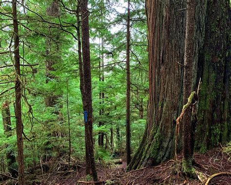 The 10 Best Things To Do In Daajing Giids 2024