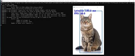 Why Is My Uploaded Coco Annotation Dataset Unable To Use To Create Accuracy Report Intel