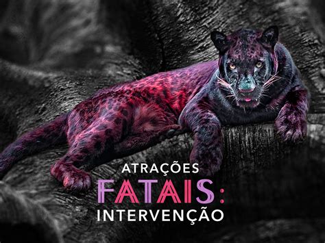 Prime Video Fatal Attractions Intervention Season 1