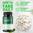 Lipofit Advanced Formula Pills Supporting Energy And Healthy Lifestyle