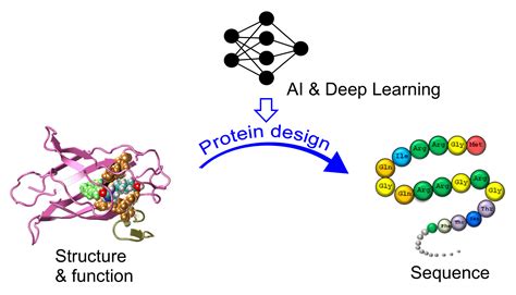 Protein Engineering Deep Learning At Linda Redmon Blog