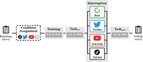 Overview Of The Experiment Timeline Participants Complete A Beginning