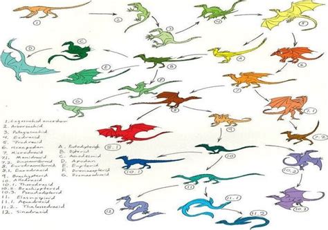 Evolution Dragon X