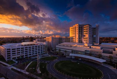 International Affiliations Uc Davis Health International Affiliations