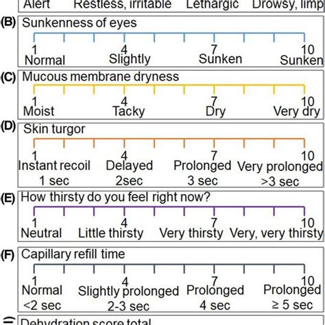 Clinical Dehydration Scale 10‐point Which Is Modified From Three