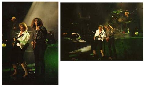 Robert Hagger Roberthagger Twitter