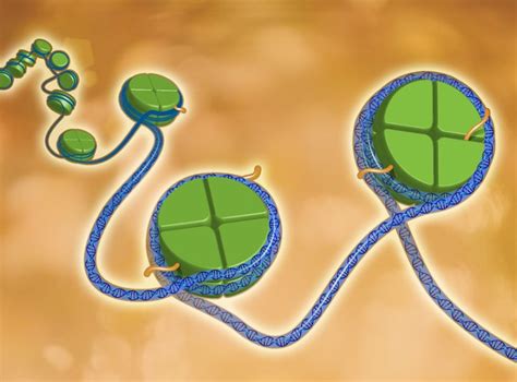 Epigenetic Inheritance Gazing Off Into Space