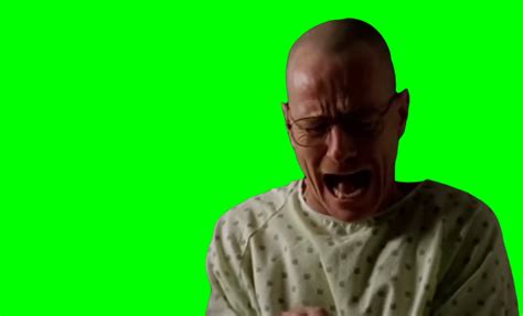 Breaking Bad Walter White Moaning Holy Mother Of God Green Scree
