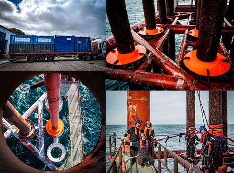 Last Centraliser Project For 2024 Five Dorsal Centralizers Two