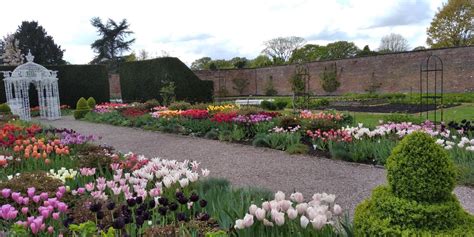 My Sisters Favourite Garden How My Heart Speaks