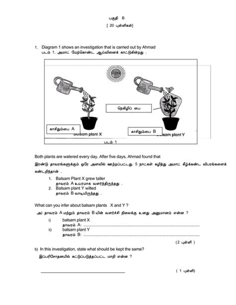 Y4 Living Things Basic Needs Section B Pdf