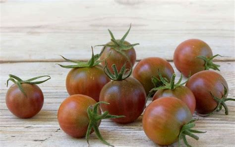 35 Sweet Tomatoes 🍅 🍬 Dive Into A World Of Flavorful And Sugary Varieties