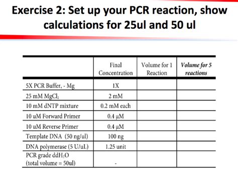 Solved Exercise 2 Set Up Your Pcr Reaction Show