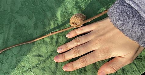 Is This A Praying Mantis Egg Sack Album On Imgur