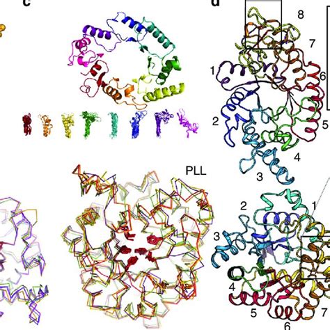 Combinatorial Backbone Assembly And Design Of Enzymes A Active Site