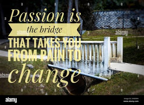 Passion For Success Quotes