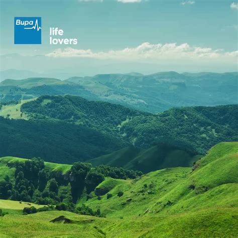 Video Damari Medina Posted On Linkedin