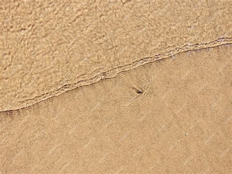 Premium Photo Beach Wet Sand Texture Sandy Shore Beige Background