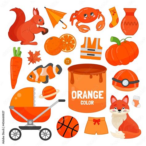 Vector Set Of Orange Color Objects Learn Orange Color Illustration Of