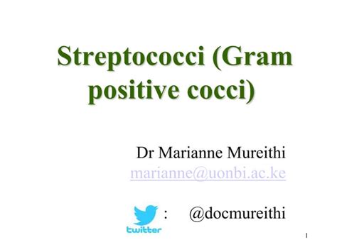 Streptococci In Medical Microbiology And Health Ppt