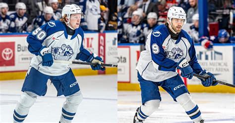 Grand Rapids Griffins Detroit Acquires Michael Milne And Wojciech