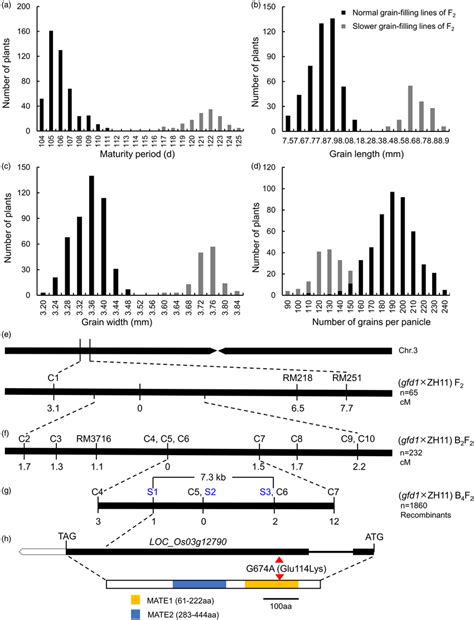 Map‐based Cloning Of Gfd1 Ad Distribution Statistics Of Plant