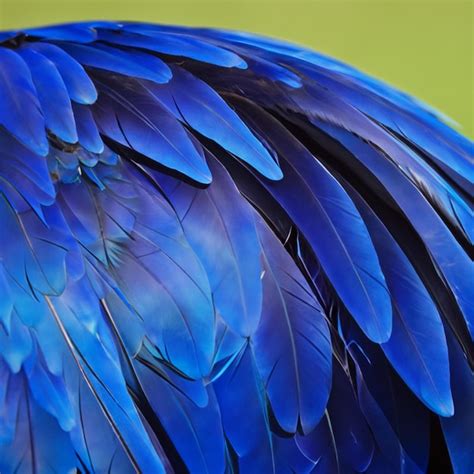 Premium Ai Image Blue Grey And White Feathers On The Wing Of A Wild