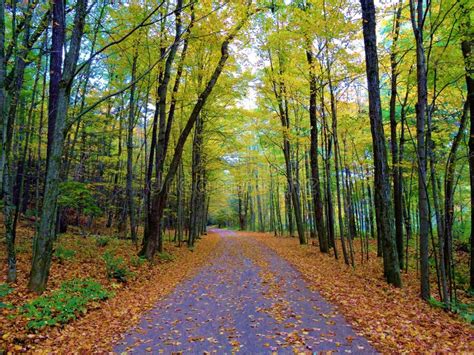 Fall In The Berkshires Stock Image Image Of Road Forest 57744103