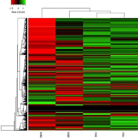 Clustering Analysis Of Gene Abundance Estimation Using Heatmaps Based