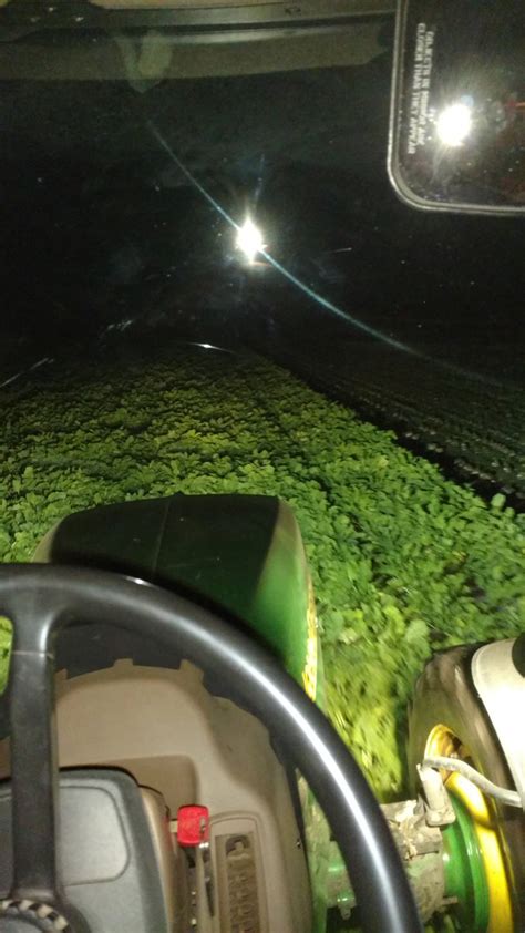 Evan Shoemaker Evanshoemaker3 Twitter