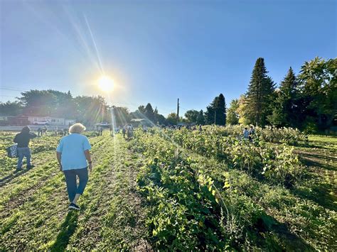 Spaulding Ranch Neighborhood Pumpkin Patch Fall Festival Event