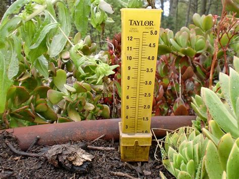 Why Measure Rainfall Bosque Village
