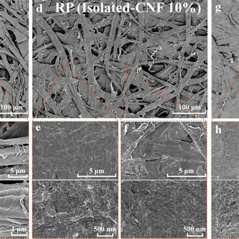 Sem Image Of Rp A Sheet Surface B Fiber Surface Details And C Fiber