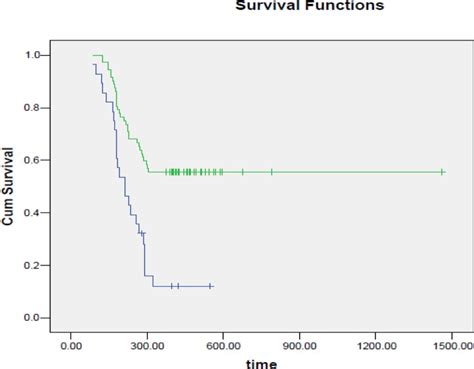 Immunohistochemical Analysis Of P53 Ki 67 Cd44 Her 2neu Expression