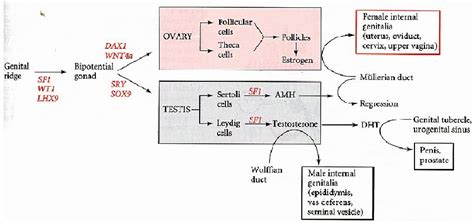 Untitled Document Webmail Life Nthu Edu Tw