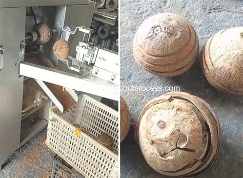 High Speed Coconut Hard Shell Removing Machine Coconut Dehusking Machine Coconut Milk Machine