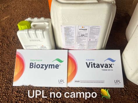 Sandrielle Furquim Posted On Linkedin