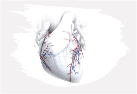 Home Au Multi Detector Computed Tomography