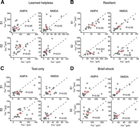 Mpfc Synaptic Modifications In Susceptibility And Resilience To Learned