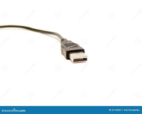 Usb Connector Stock Photo Image Of Modem Office Backgrounds