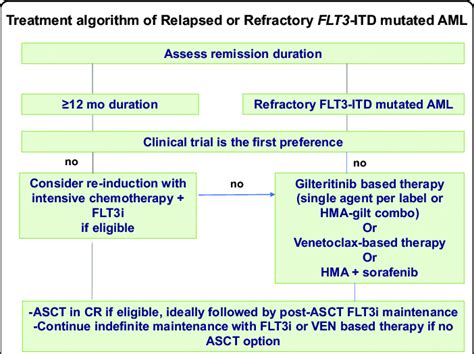 Treatment Algorithm Of Relapsed Or Refractory Flt3 Mut Aml Sct Stem