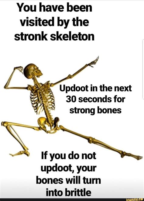Strengthen Your Bones With The Stronk Skeleton