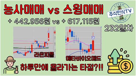 하루만에 올라가는 타점이 있다 스윙매매의 역전 농사매매 Vs 스윙매매 Youtube