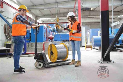 The Graphs Below Show The Numbers Of Male And Female Workers In 1975 And 1995 Writing Task 1