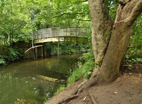 River Roding Londons Lost Rivers Book And Walking Tours By Paul Talling