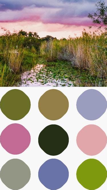 Everglades Beach Color Palette